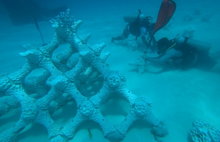 Can a 3D printed reef save marine life in the Maldives? - The Edition