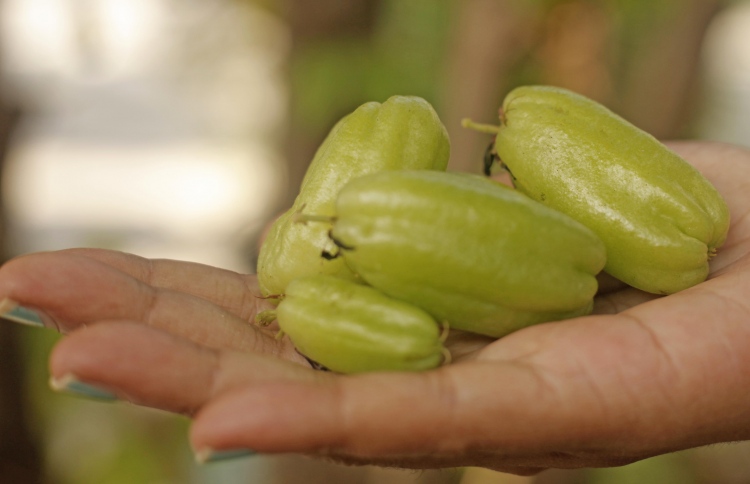 Maldivian Recipes: Chillout with 'Bilamagu' Juice - The Edition