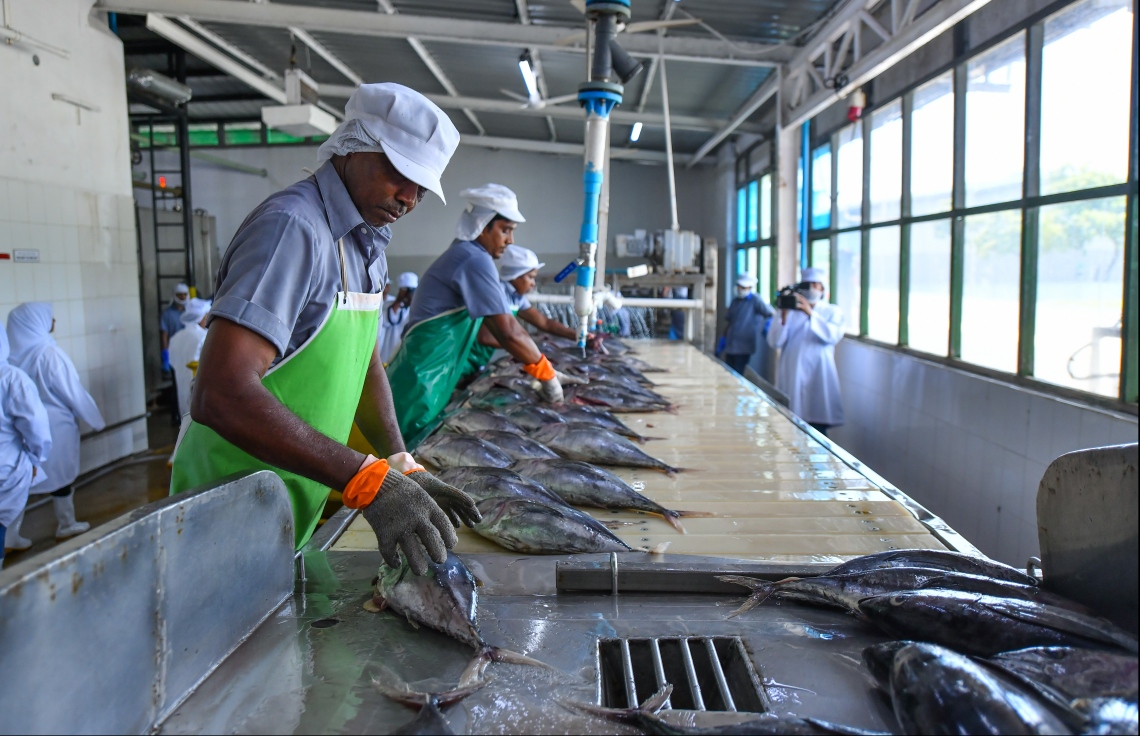 MIFCO suffers MVR 1 billion in losses - The Edition