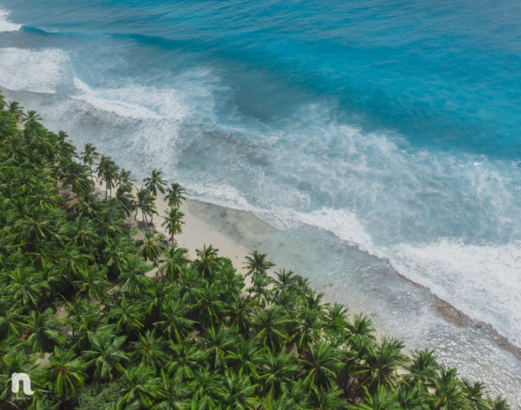 Dho?! Budget Traveling: Ha. Kelaa ah!