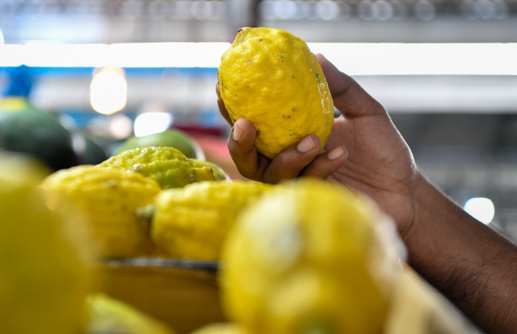 Vendors declare lukewarm reception of Bangladeshi lemons in Maldivian ...