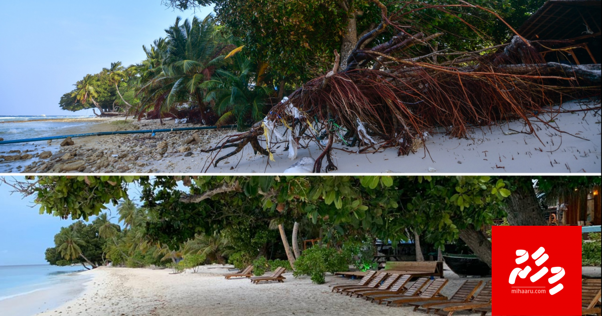 Hiydhathi manzareh! Dharavandhoo ge gondudhoh kaalaifi! | Mihaaru