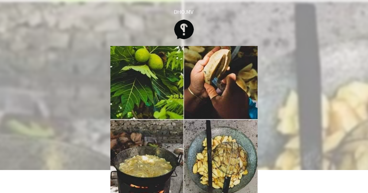 Dho?! Banbukeyo moosun: Dhahi vejje dho?