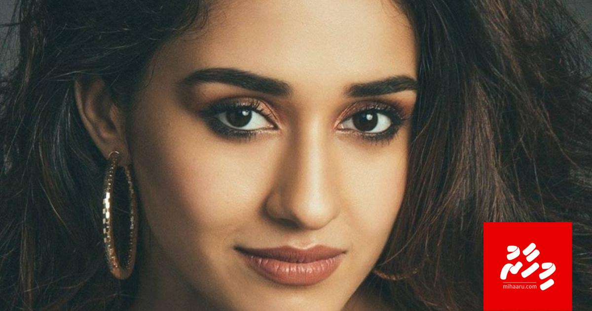 Disha Patanige shauguverikameh Hollywoodakah neiy | Mihaaru