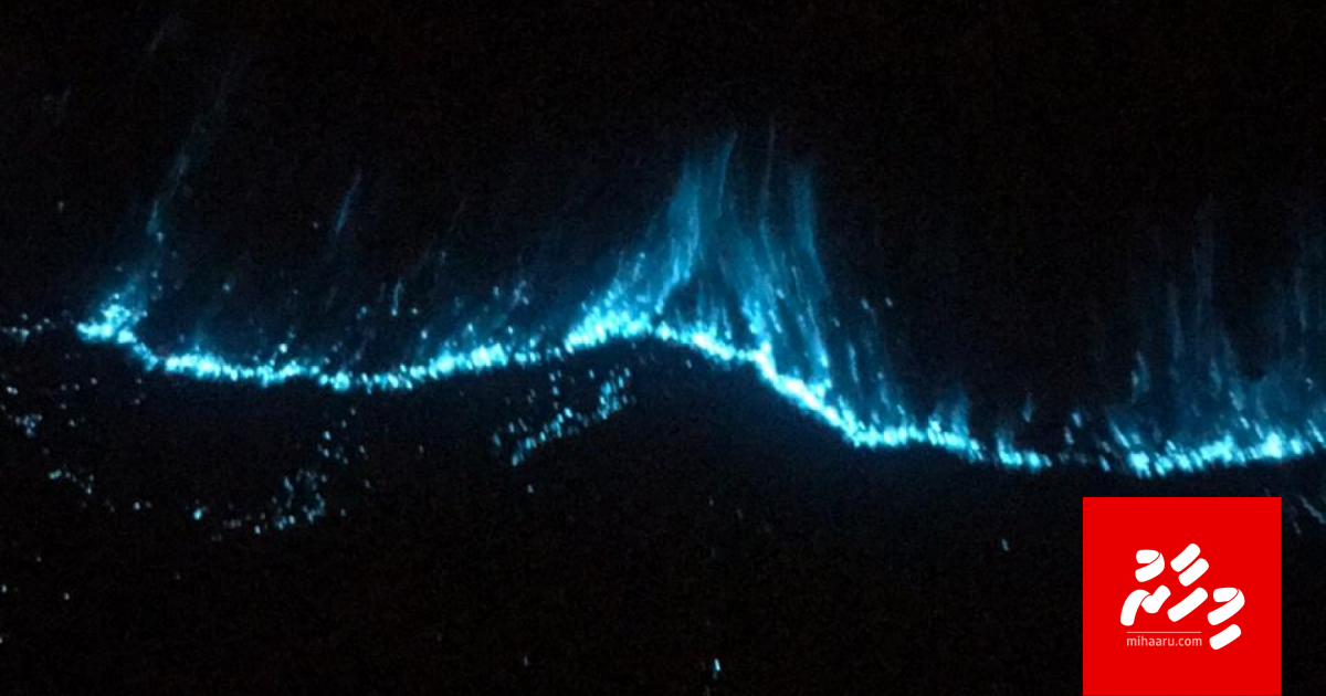 Redhan balan gos Hulhumale' beach furaalaifi | Mihaaru