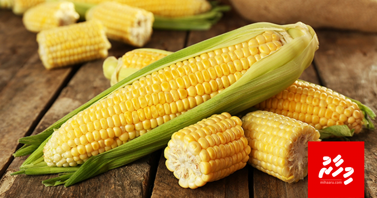 Thafaathu recipe thakun zuvaareege faidhaa hoadhaa! | Mihaaru