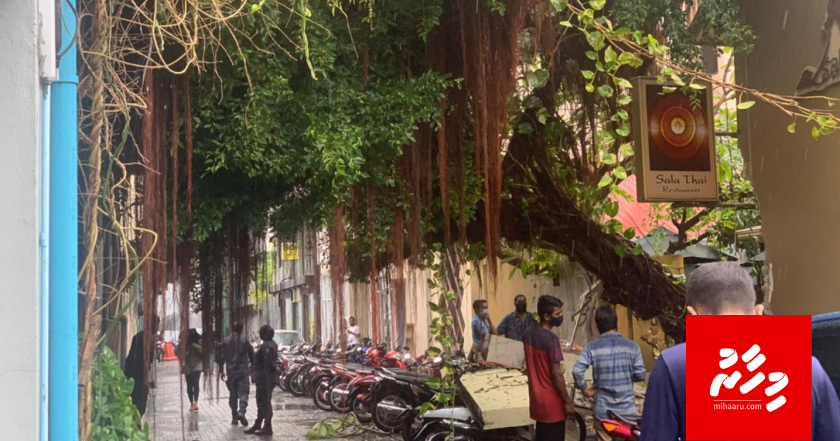 Sala Thai restaurant gai huri nika gas vetti gellun vejje | Mihaaru