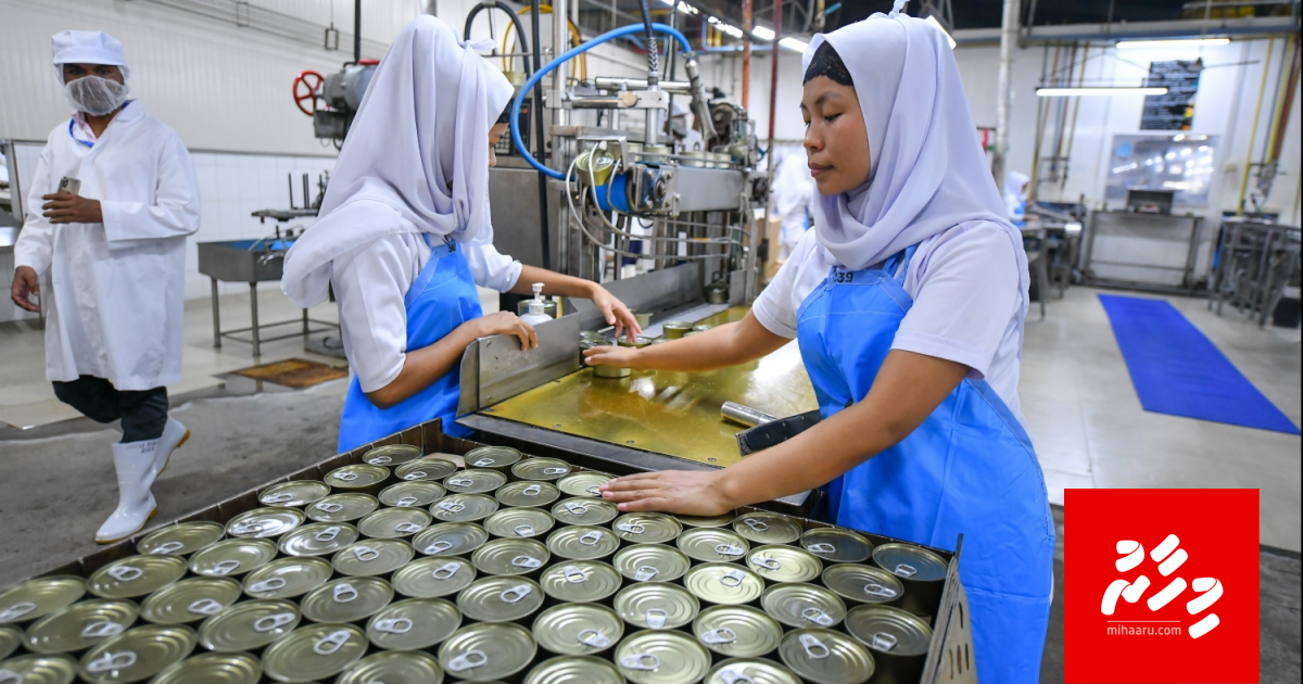 Masdhalhu case akun 150 rufiyaa ah bodu koffi | Mihaaru