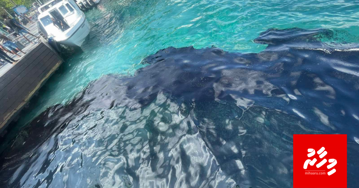 Male' falhu thereygai 1,000 liter ge kalhu theyo; EPA in massala ...