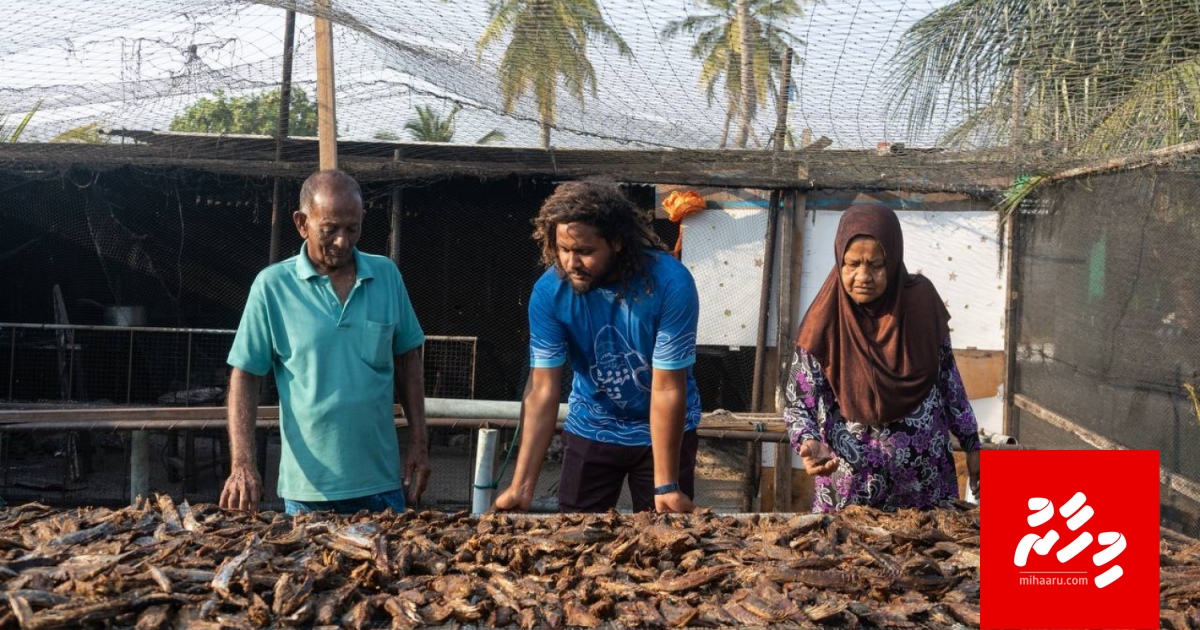 Mas kehkumugai 45 aharu; Mihaaru naa ummeedhugai | Mihaaru