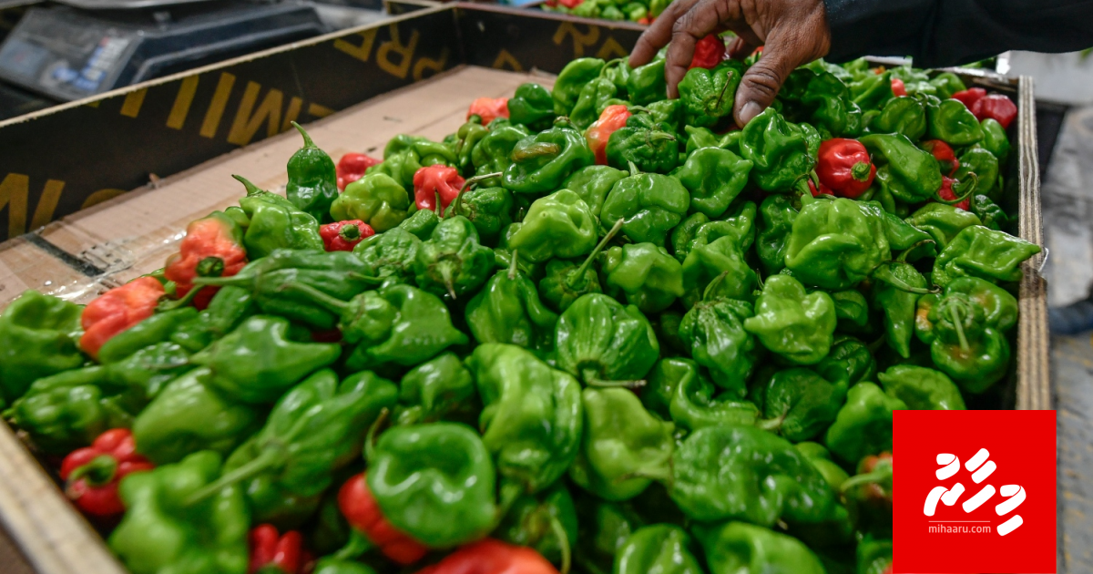 Kandoodhoo mirus thiyaagive aguthah dhah vejje | Mihaaru