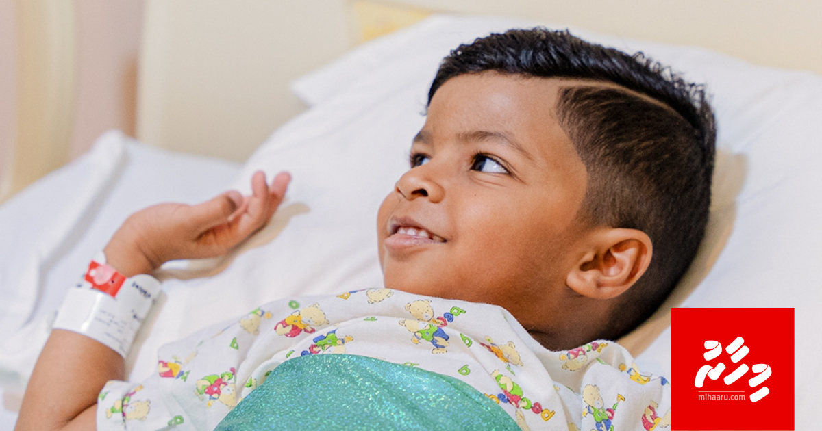 Tree top ge hithaanee camp ah nan note kuran fashaifi | Mihaaru