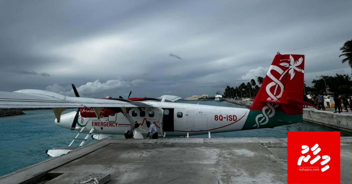 Faareh dhashuve aniyaavi kujja male genesfi | Mihaaru