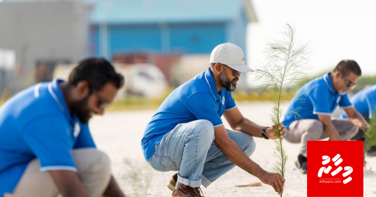 Amilla faraaiythakun 1.3 million gass indhan shauguverikan faalhu koffi ...
