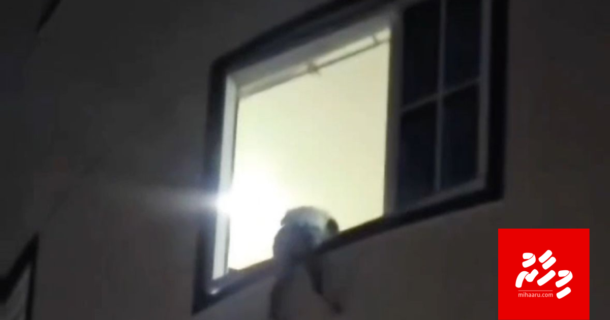 Biruveri manzareh, Kuda kujjaku fas vana burin vettenikoh salaamaiy ...