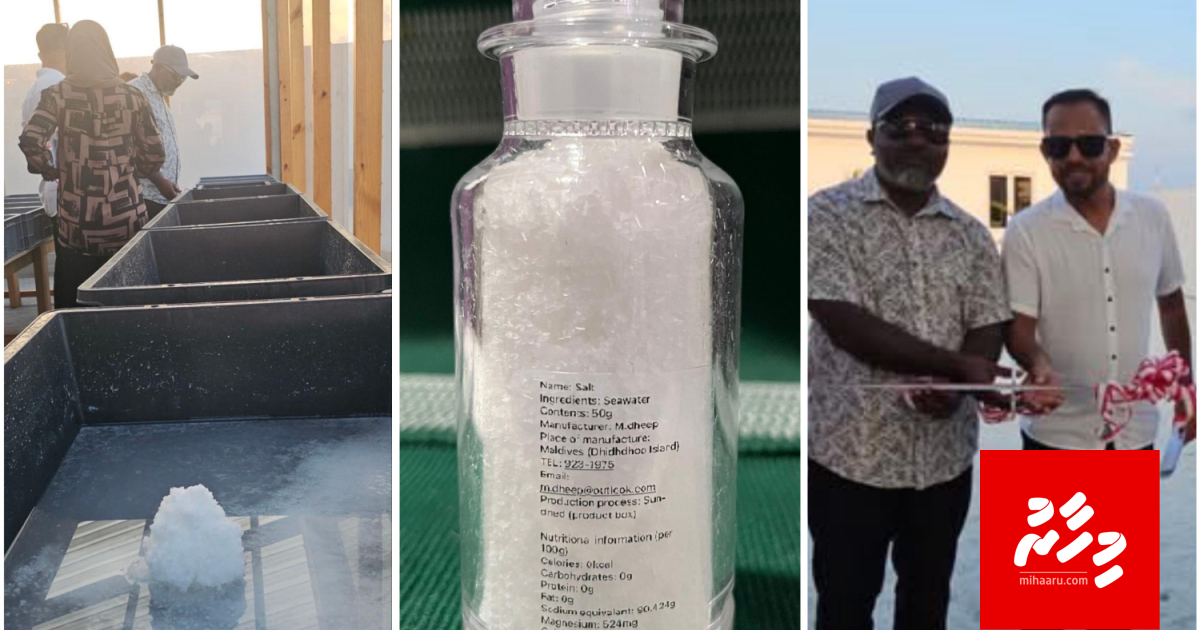 Dhidhoo gai lonu ufahdhai Japan export kuranee | Mihaaru